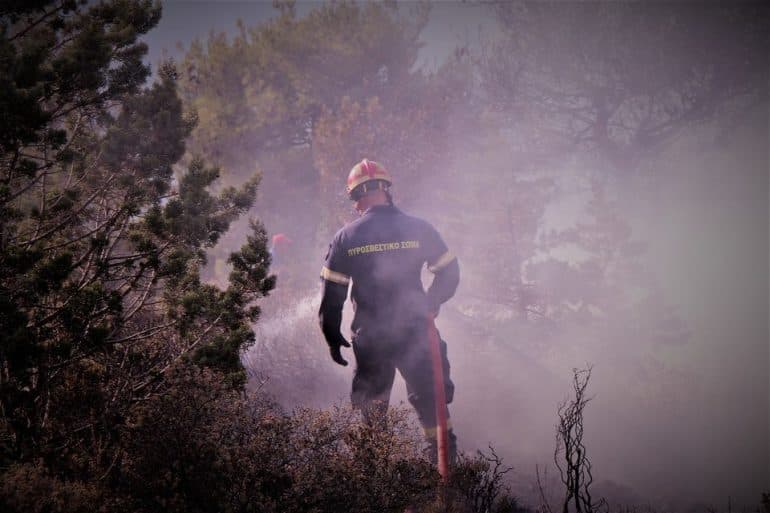 Flames Engulf the Ancient Olive Grove of Amfissa - Olive Oil Times