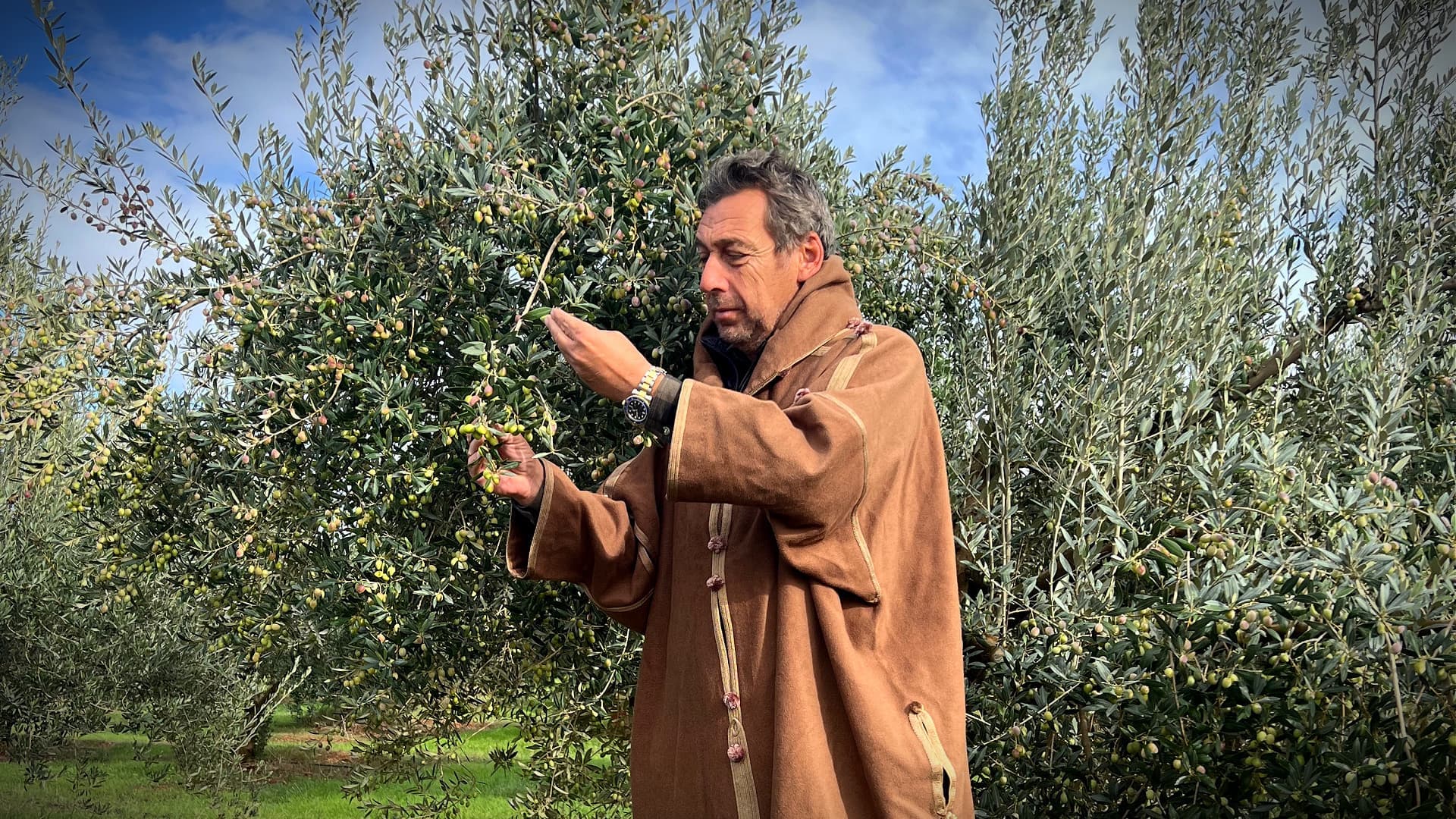 Domaine Adonis Bets on Traditional Orchards and Organic Production ...