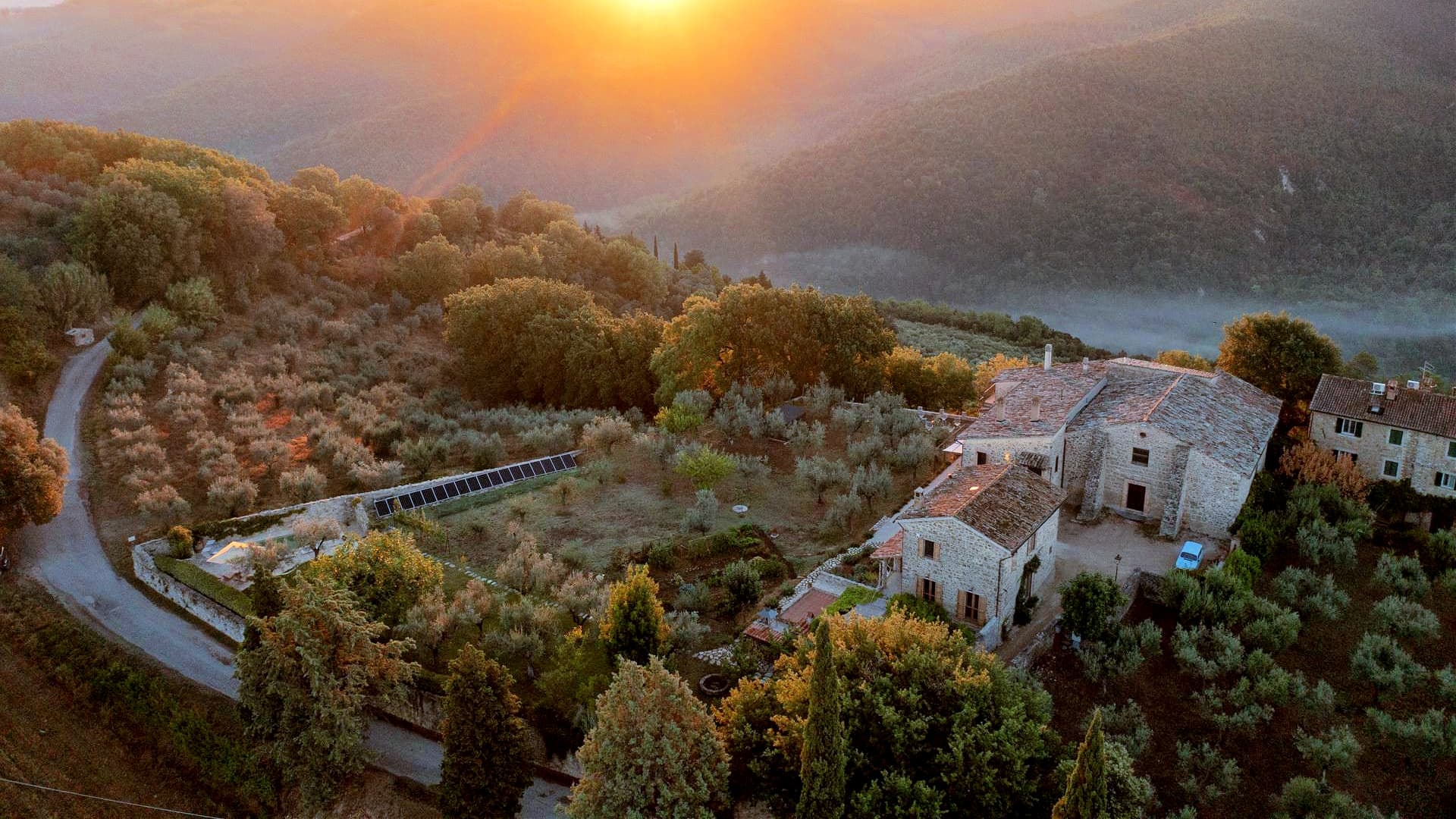 Innovation Yields World-Class Extra Virgin Olive Oil from Restored ...