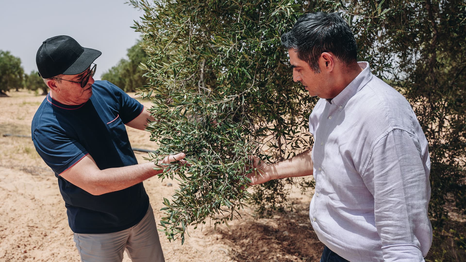 Technology Drives the Ambitions of Tunisia’s Largest Olive Oil Producer ...