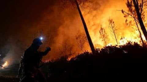 Record-Breaking Wildfires Scorch Europe in 2025 - Olive Oil Times